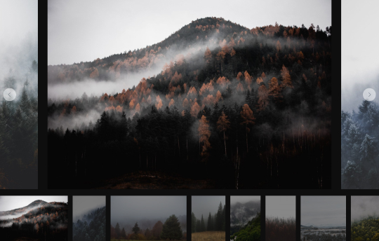 Animated GIFs for WordPress Galleries - Visual Portfolio